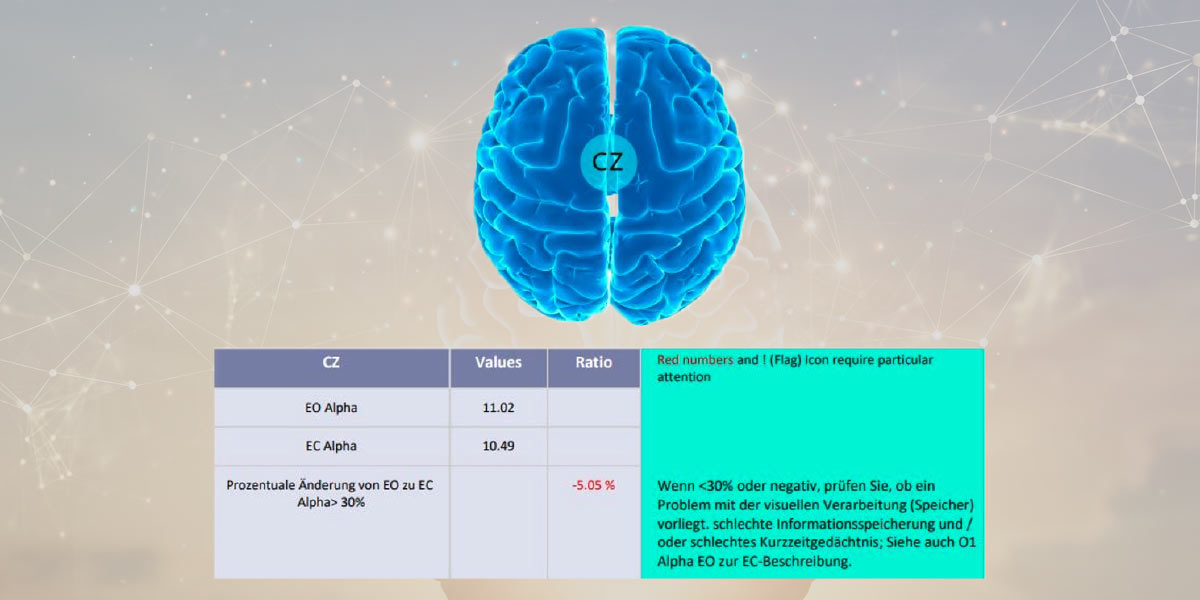 Das Clinical Q Assessment nach Dr. Swingle - IFEN Neurofeedback Blog