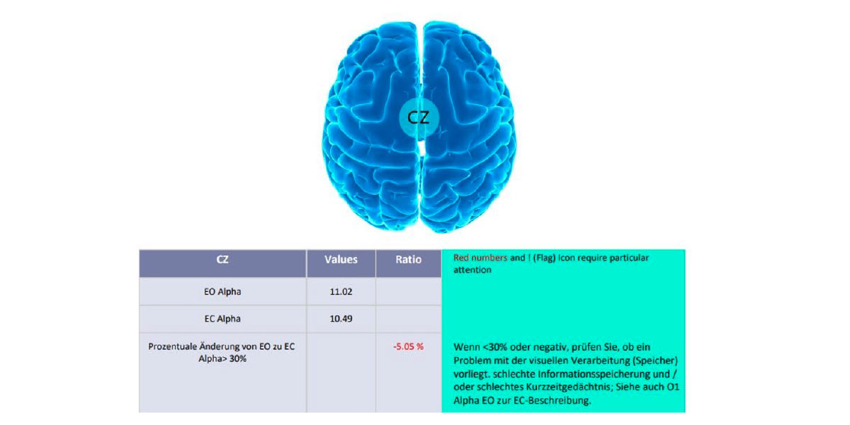 Das Clinical Q Assessment nach Dr. Swingle - IFEN Neurofeedback Blog