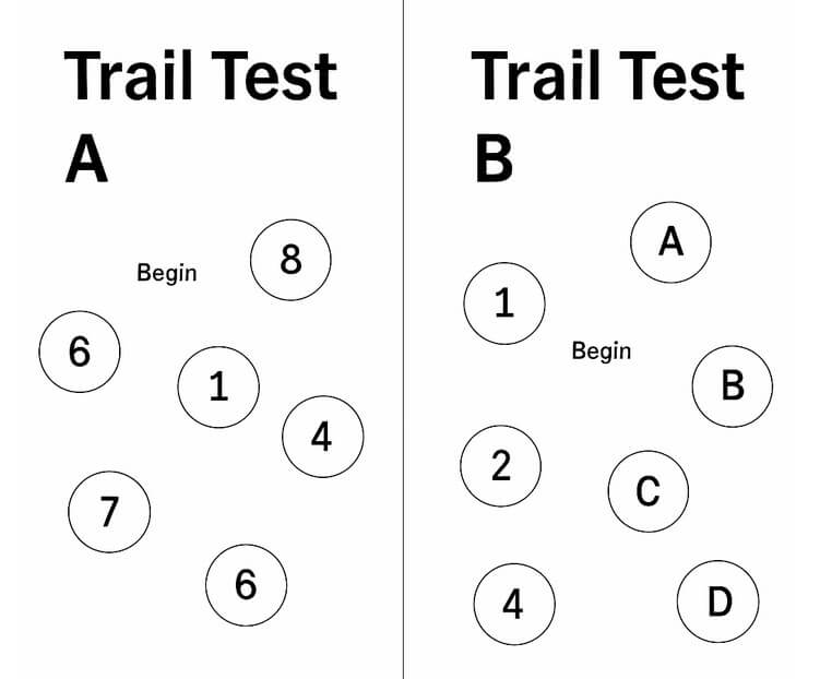 Jenseits der Zahlen: Wie der Trail Making Test kognitive Veränderungen ...
